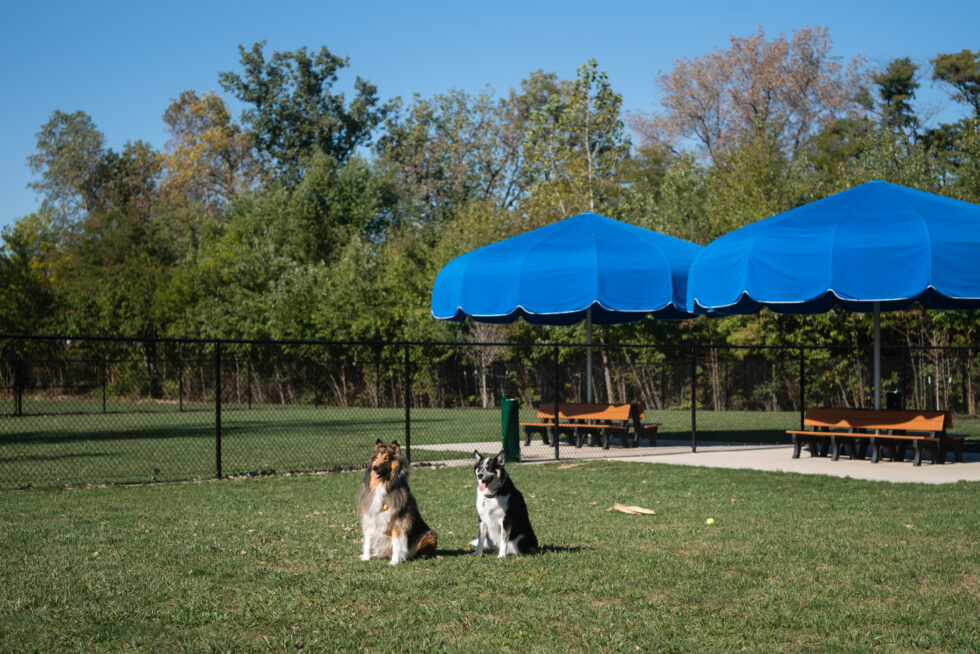 Parks & Pool - Delphos Area Chamber of Commerce