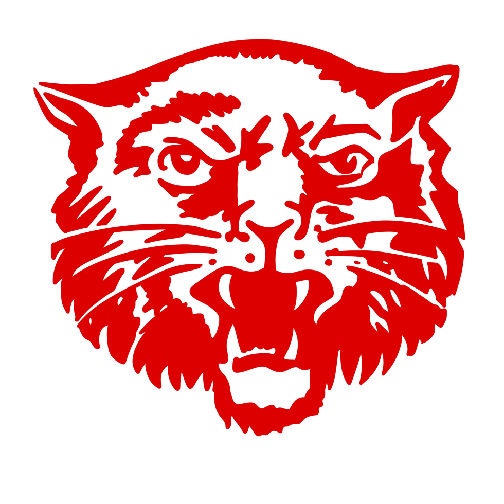 Wildcat Special- 50th Anniversary - Delphos Area Chamber of Commerce